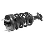 We Tested the 7 Best Struts for 2025 - 7 Options Reviewed